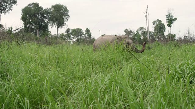 Start - Kunskapskanalen