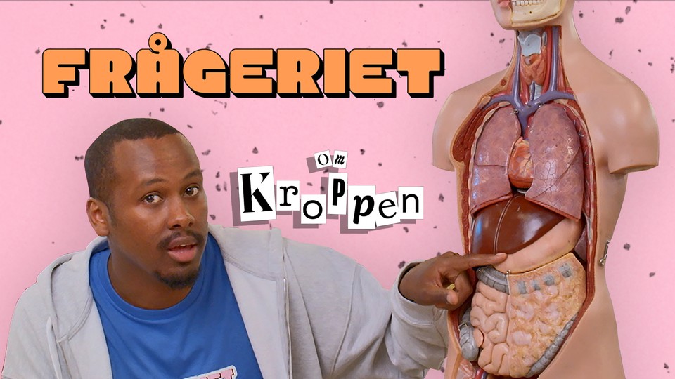 Lärarhandledning Frågeriet Om Kroppen