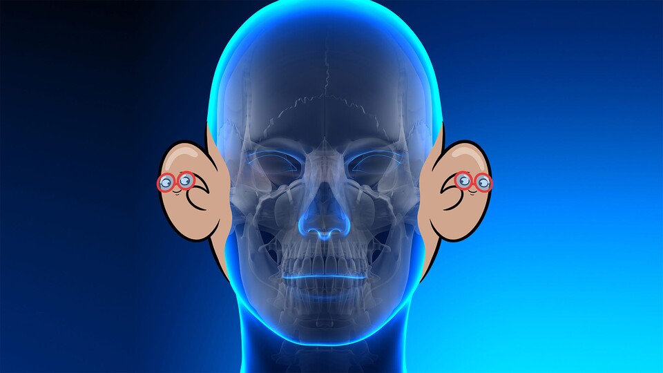 Lärarhandledning - Kul fakta - kroppen